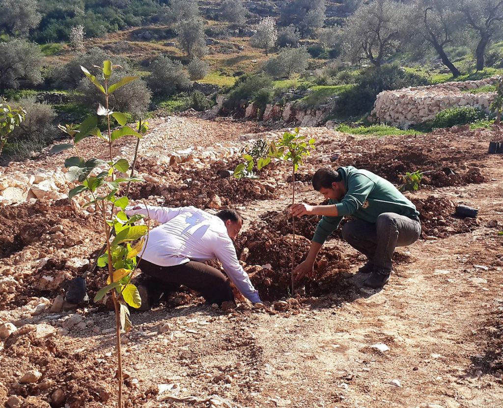 Alleviating the effects of climate change and biodiversity loss in the ...